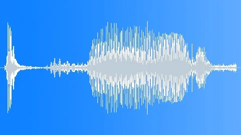 Sound Effect Colt M16 Rifle 1960 Download 80721795