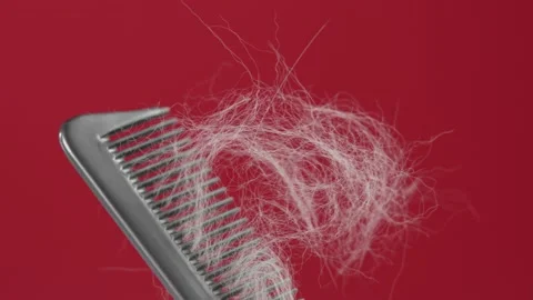 Comb with gray hair tuft on a red backgr... | Stock Video | Pond5