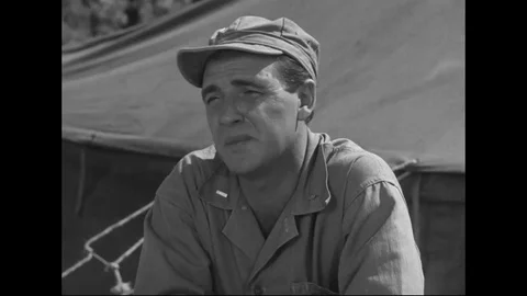 Share Care Company Stock Videos – Royalty-Free HD & 4K Videos