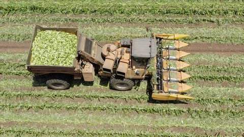 Combine fully loaded with sweet Corn in ... | Stock Video | Pond5