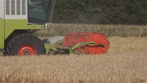 Reaping P Stock Videos – Royalty-Free HD & 4K Videos | Page 4