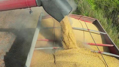 Combine harvester unloading soybean afte... | Stock Video | Pond5