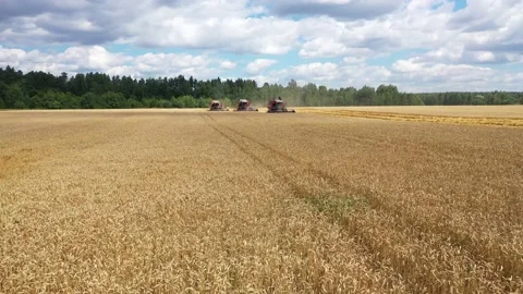 Reaping P Stock Videos – Royalty-Free HD & 4K Videos | Page 2