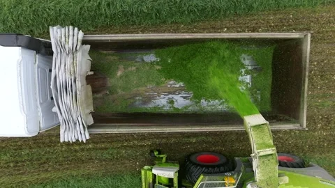 Combine harvesting and loading silage on... | Stock Video | Pond5