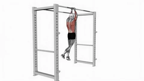 Commando Pull-up fitness exercise workou... | Stock Video | Pond5