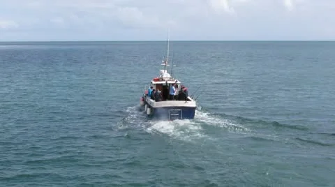 Commerical T Stock Videos – Royalty-Free HD & 4K Videos