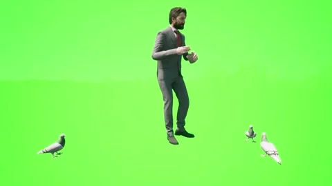 company manager feeding birds and animal... | Stock Video | Pond5