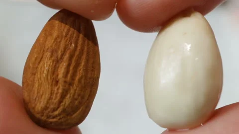 Compare M Stock Videos – Royalty-Free HD & 4K Videos | Pond5