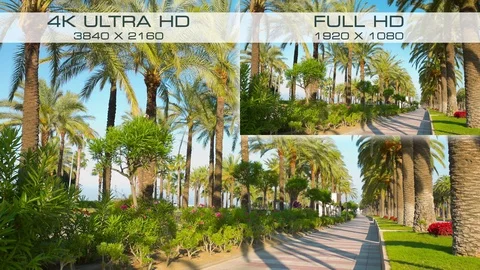 Comparison 4K UHD vs Full HD HDTV | Stock Video | Pond5