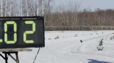 Sled Racing Vidieos Stock Videos – Royalty-Free HD & 4K Videos