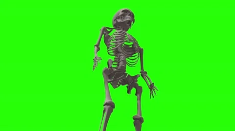 Complete skeleton in green screen | Stock Video | Pond5