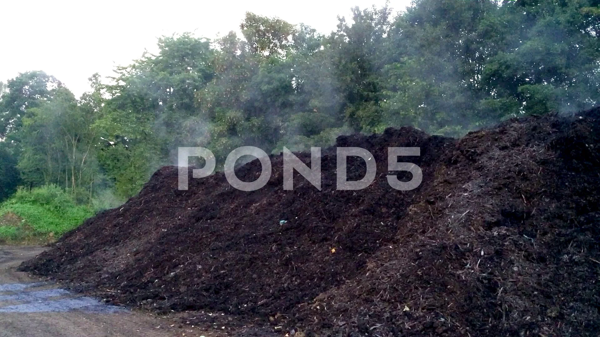 Compost Pile Steam