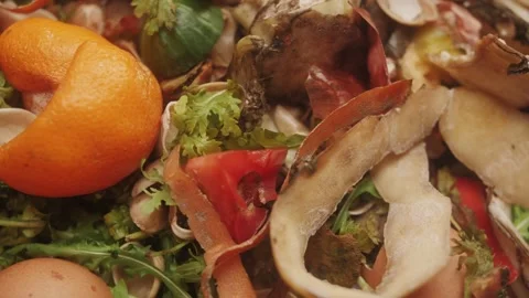 Composting biodegradable waste on a comp... | Stock Video | Pond5