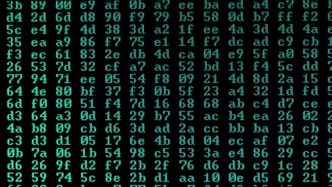 Hexadecimal Code Stock Video Footage | Royalty Free Hexadecimal Code Videos | Pond5