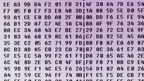 Computer code in hexadecimal on screen | Stock Video | Pond5