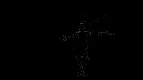 Ballerina Graphics Stock Footage ~ Royalty Free Stock Videos | Pond5