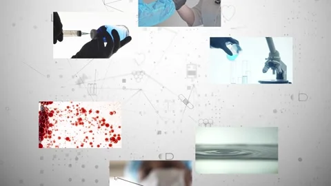 Files Into Video Stock Videos – Royalty-Free HD & 4K Videos