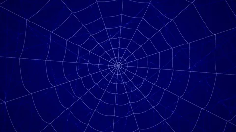 concentric cobwebs on a blue background | Stock Video | Pond5