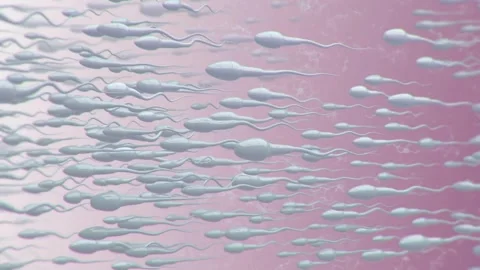 Sperm Animation Stock Footage ~ Royalty Free Stock Videos | Pond5