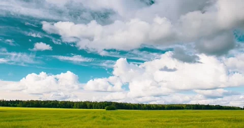 Concept Of Abundance Of Crops. Beautiful... | Stock Video | Pond5