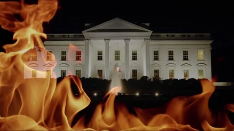 Constitution Burning Stock Video Footage | Royalty Free Constitution ...