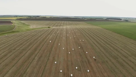 Flying Music Box Stock Videos – Royalty-Free HD & 4K Videos