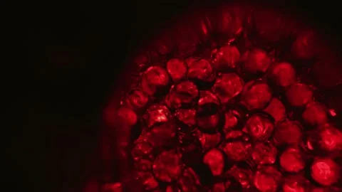 The concept of the ovum. Animation of ea... | Stock Video | Pond5