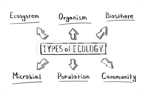 Concept of types of ecology mind map in handwritten style ~ Clip Art ...