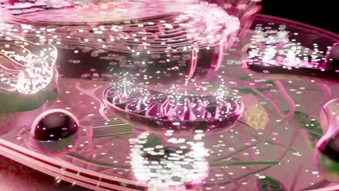 Conceptual animation of the cell and the... | Stock Video | Pond5