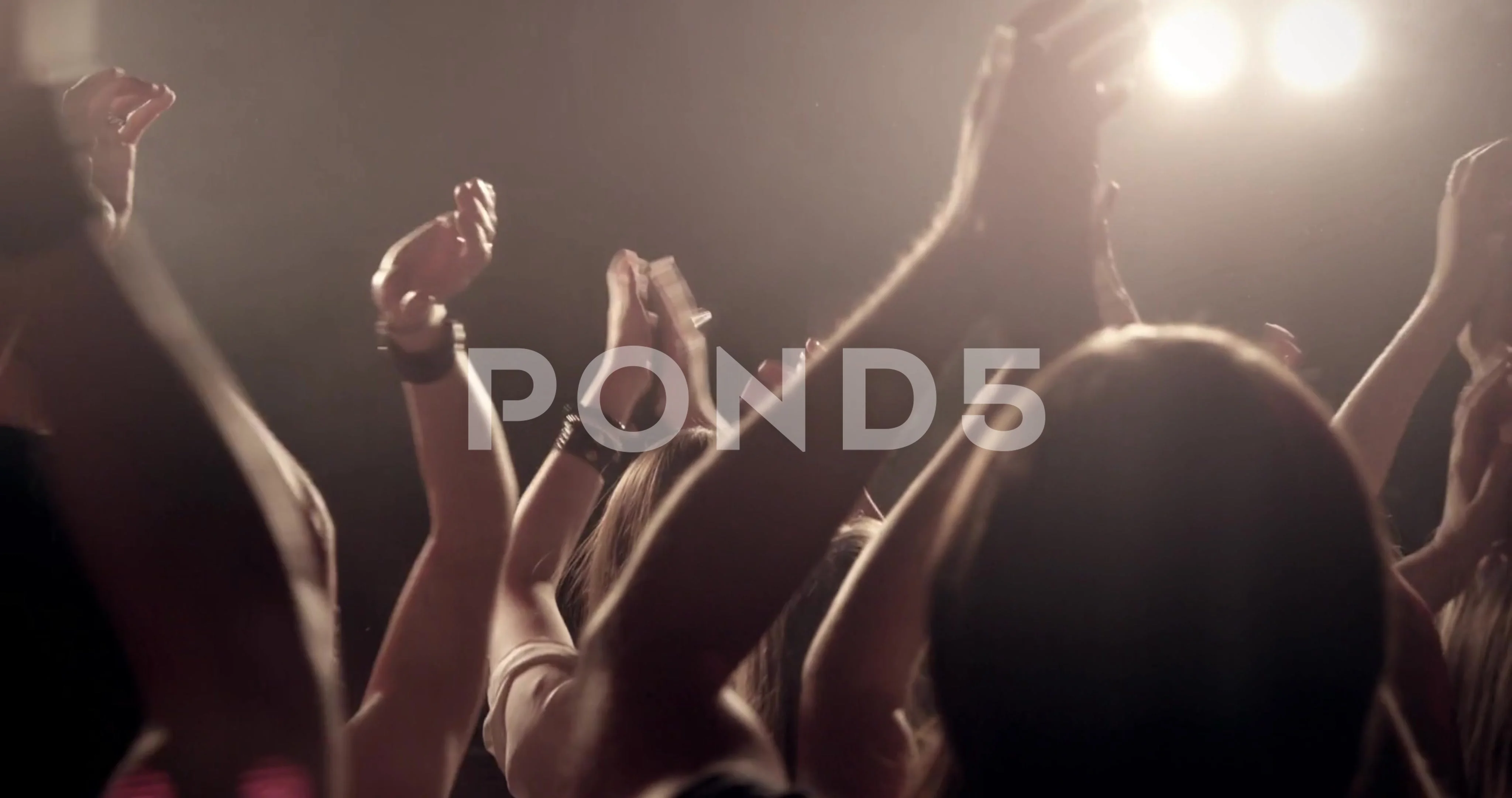 Party Hands In The Air Silhouette