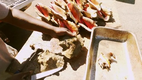 Conch Stand At Fish Market Place Bazaar ... | Stock Video | Pond5