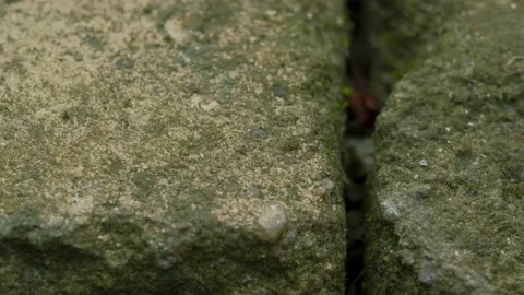 Dolly Texture Stock Videos – Royalty-Free HD & 4K Videos | Pond5