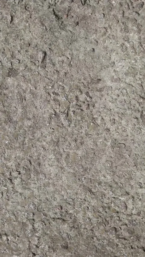 Animated Road Loop Stock Videos – Royalty-Free HD & 4K Videos | Pond5