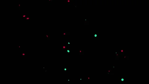 Confetti Looping Animation Alpha Channel | Stock Video | Pond5