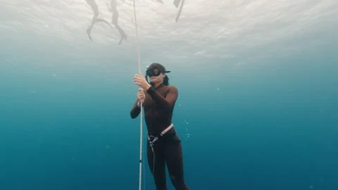 Free Diving Stock Footage ~ Royalty Free Stock Videos | Pond5