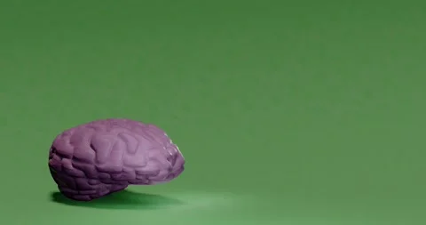 Confused Brain Stock Video Footage | Royalty Free Confused Brain Videos ...