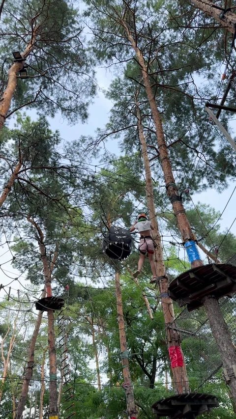 O Brave New Stock Videos – Royalty-Free HD & 4K Videos | Pond5