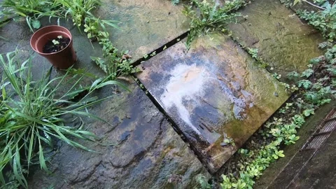 Rough Young Tube Stock Videos – Royalty-Free HD & 4K Videos