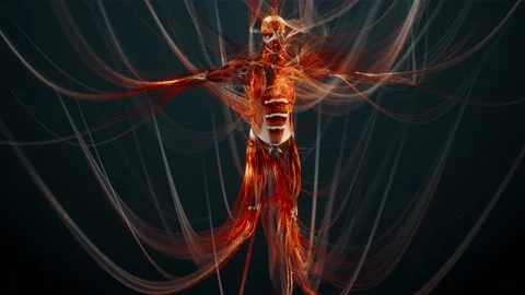 Construction of the human body with weav... | Stock Video | Pond5