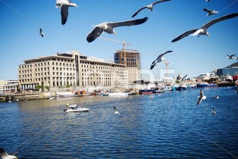 Photograph: Construction of a new building in waterfront of Cape Town ...