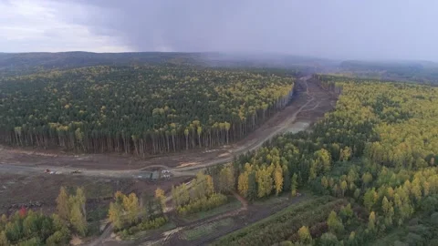 Construction of a new road in the forest... | Stock Video | Pond5