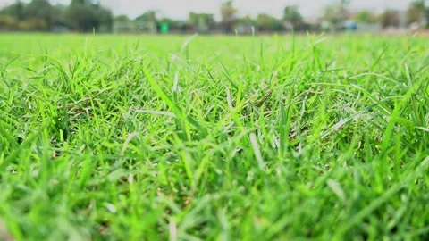 Slide Contact Stock Videos – Royalty-Free HD & 4K Videos | Pond5