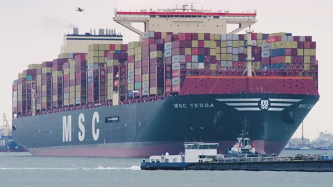 Container Ship MSC Stella in Rotterdam H... | Stock Video | Pond5