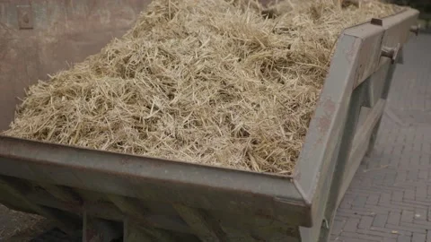 container with straw, manure, animal zoo... | Stock Video | Pond5