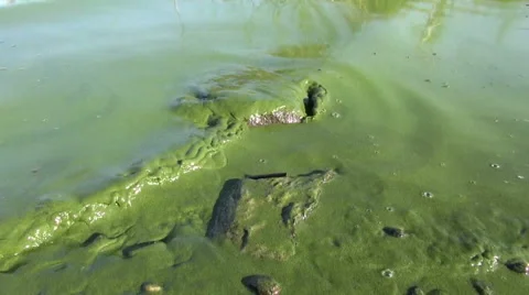 Contaminated Stock Footage ~ Royalty Free Stock Videos | Pond5