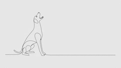 Continuous line drawing animation of a d... | Stock Video | Pond5
