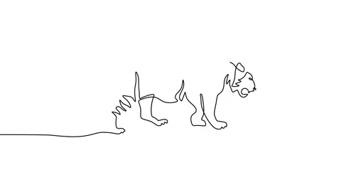 Continuous one line animation of big Tig... | Stock Video | Pond5