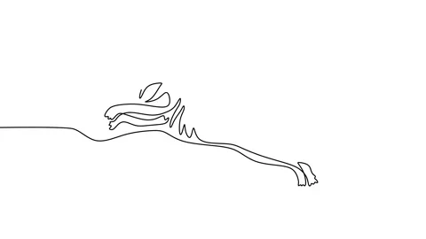 Continuous one line animation of big Tig... | Stock Video | Pond5