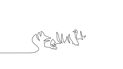 Continuous one line animation of big Tig... | Stock Video | Pond5