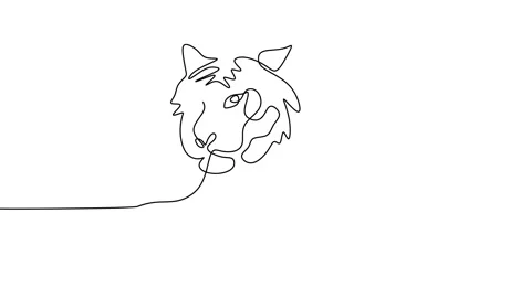 Continuous one line animation of Tiger h... | Stock Video | Pond5